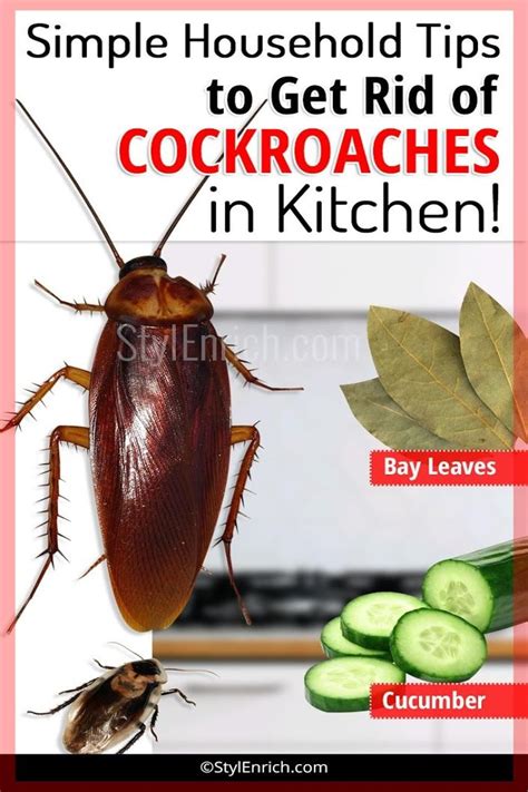 How To Get Rid Of Roaches For Good Artofit