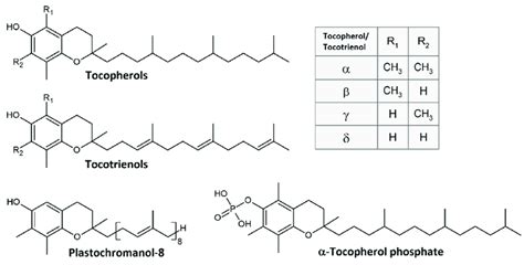 Chemical Structure Of Tocochromanols Download Scientific Diagram