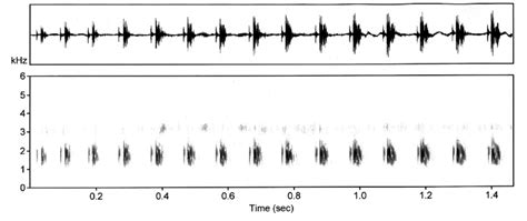 Wave Form Above And Spectrogram Below Of A Sequence Of 15 Notes
