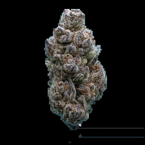 Sex Panther Chronic Guru Farms