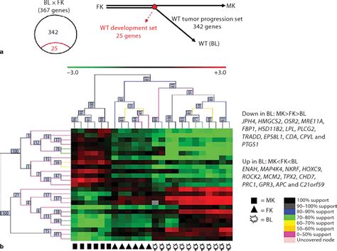Figure 1 From Molecular Profiling Of Isolated Histological Components