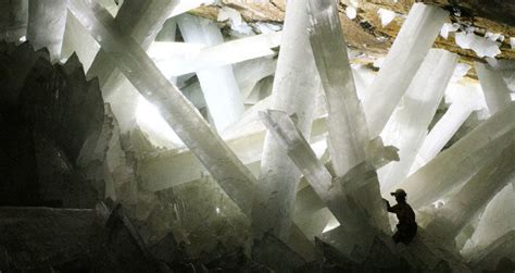 Nasa Scientists Discover Mysterious Life Forms Hibernating Inside Giant