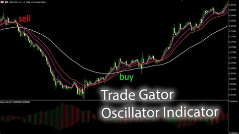 How To Trade Gator Oscillator Indicator Best Forex Trading Strategyaccurate Moving Average