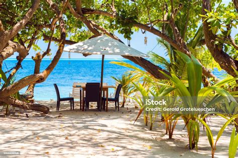 테이블과 자 모래 해변 Hangnaameedhoo Maledives에는 우산 텍스트에 대 한 공간을 복사 합니다 0명에 대한 스톡 사진 및 기타 이미지 Istock