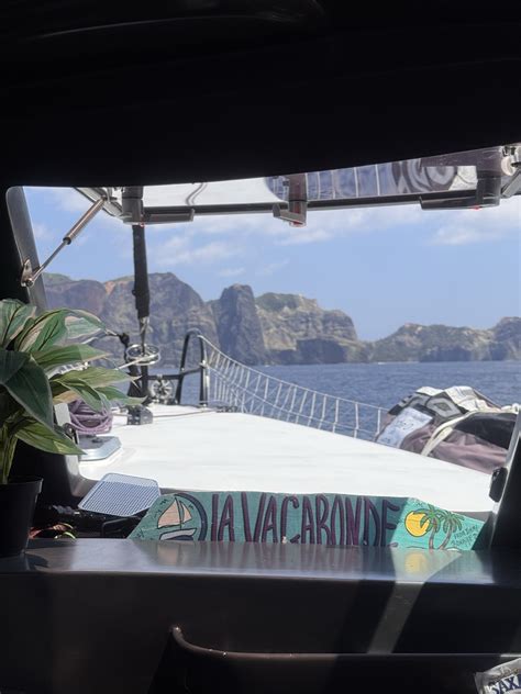 Elayna Carausu Seapeople App