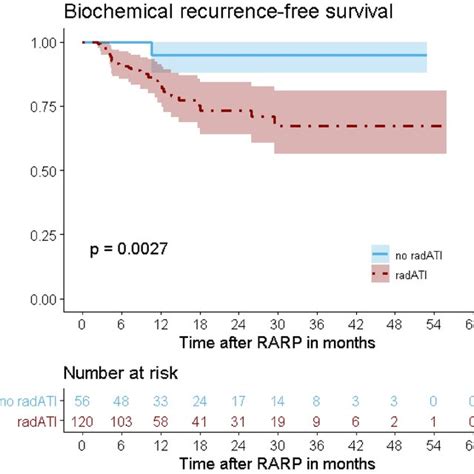 Biochemical Recurrence Free Survival Patients With Biochemical
