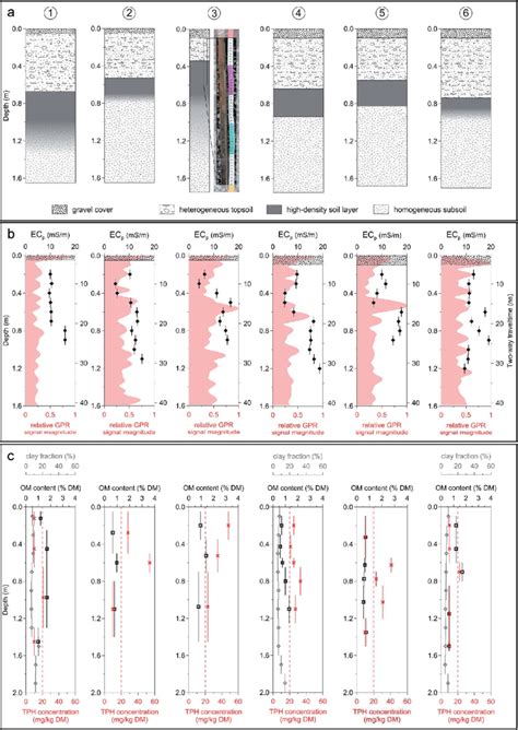 A Schematic Representation Of The Soil Profiles At The Six Locations Download Scientific