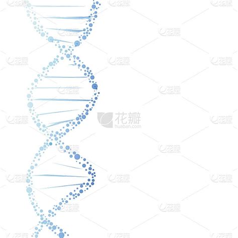 Dna分子结构素材 花瓣网