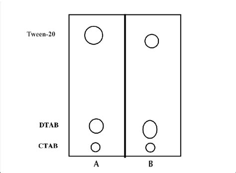 The Chromatograms Of Ctab Dtab And Tween 20 Separation Of Ctab Download Scientific Diagram