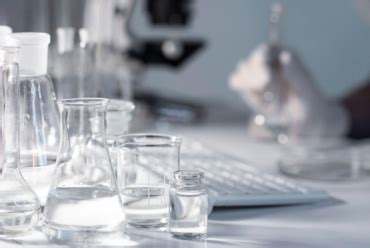 Free Memo Templates Word PDF Edit Print