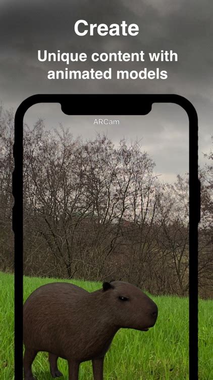 ARCam Augmented Reality By Vitaly Notchenko