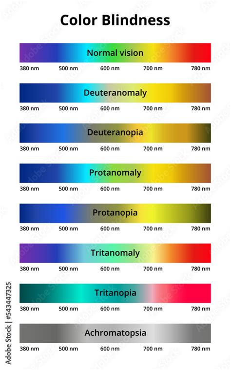 Vector Illustration Of Color Blindness Or Colorblindness Normal Vision Achromatopsia