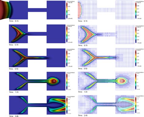 solution profiles and corresponding meshes of loop download scientific diagram