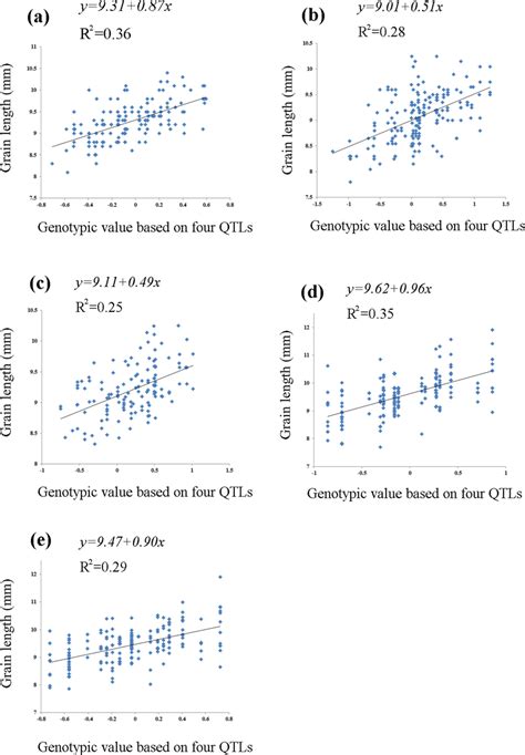 Linear Regression Analysis Between Grain Length And Genotypic Value Of Download Scientific