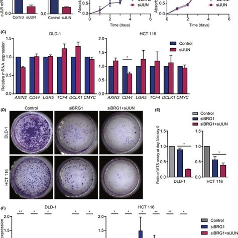 Jnk Pathway Was Crucial For Expansion And Stemness Of Human Colorectal