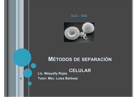Pdf Métodos De Separación Celular Dokumen Tips