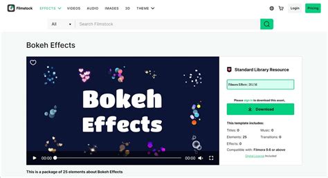 Mastering the Art of Creating Video Bokeh