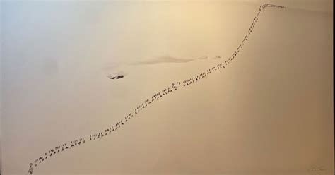 Mirislou Ddr 8th Wall