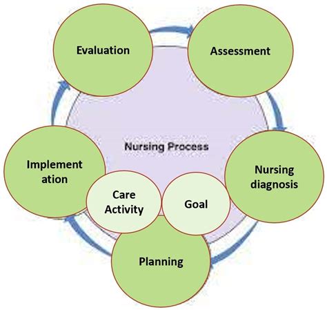 Goal Milestone Assessment Evaluation Outcome In Care Planning Patient Care Confluence Goal Milestone Assessment Evaluation Outcome In Care Planning Patient Care Confluence