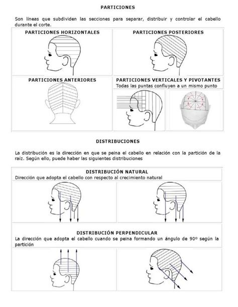 Libro Elementos Del DiseÑo De Corte Técnicas De Corte De Pelo Cosas