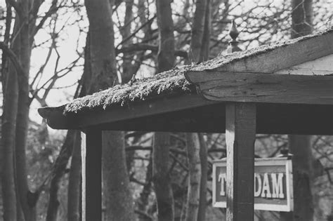 Premium Photo Built Structure With Trees In Background