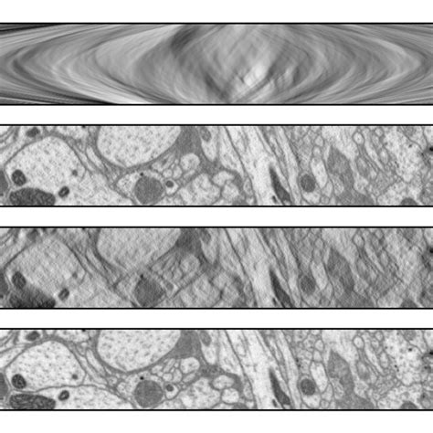 Singular Values Of The Matrix A In The Equation Y Ax σ Y ϵ This Download Scientific Diagram
