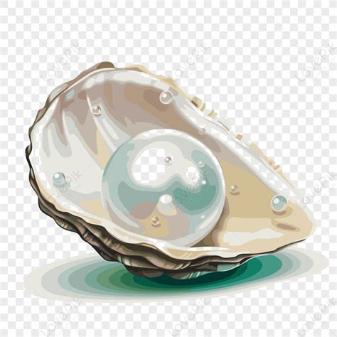 진주 벡터클립 아트상표만화