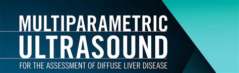 Multiparametric Ultrasound For The Assessment Of Diffuse Liver Disease A Practical Approach