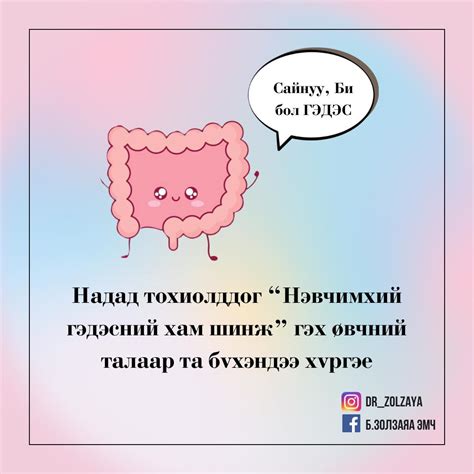 Б Золзаяа эмч Өнөөдөр та бүхэндээ “Нэвчимхий гэдэсний хам шинж” буюу Leaky Gut өвчний талаар