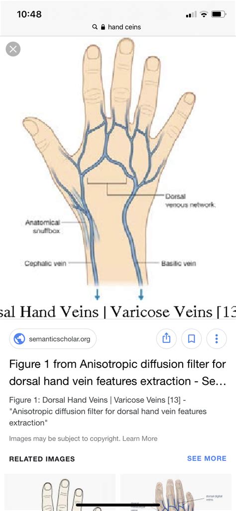 Dorsal Hand Veins How To Draw Hands Hand Veins Hand Art Drawing