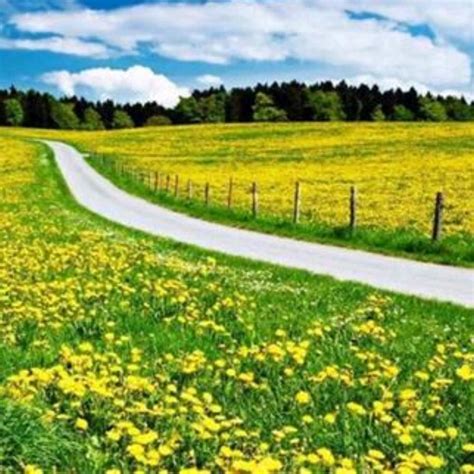 章子怡汪峰离婚真相！8年婚姻落幕，两人现状大不同影后网友声明