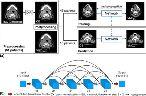 a schematic representation of the deep learning‐based method for