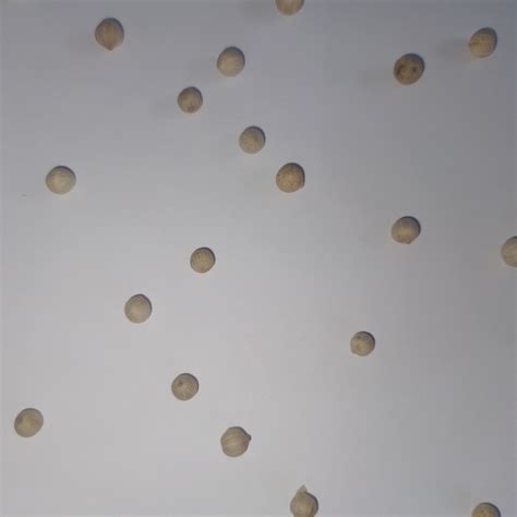 Tugas Akhir Dataset 300 Object Detection Dataset By Politeknik Manufaktur Negeri Bangka Belitung