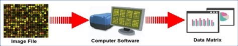 The Process Of Extract Data From Image File Download Scientific Diagram
