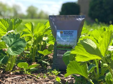 Forestrust Biochar And Forestry Embrace Blockchain Wood Central