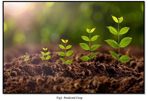 Crop Prediction Using Cnn Algorithm