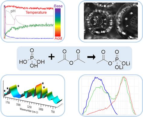 Hydrolysis Of Acetyl Phosphate