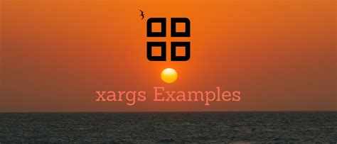 Xargs Command With Examples