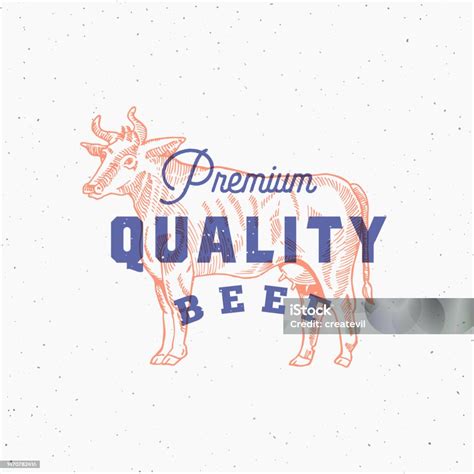 프리미엄 품질의 쇠고기 레트로 인쇄 효과 카드 추상 벡터 기호 기호 레이블 템플릿입니다 타이포그래피가 있는 손으로 그린 소 실루엣 빈티지 엠블럼 또는 스탬프 고무도장에 대한