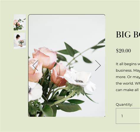 border on product images customize with code squarespace forum