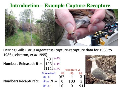 Ppt A Hybrid Symbolic Numerical Method For Determining Model Structure Powerpoint Presentation
