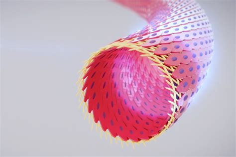 Why Dont Popular Decongestants Like Sudafed Work