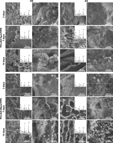 Sem Images And Edx Spectra Averaged For The Entire Analysed Surface