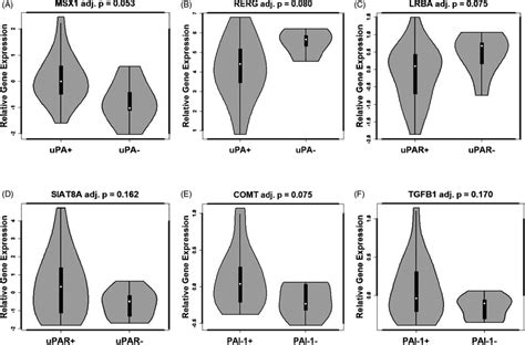 Violin Plots Of The Qpcr Expression Levels Of Representative Genes Download Scientific Diagram
