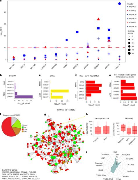 Single Cell Rna Sequencing Reveals Sex Differences In The Subcellular Composition And Associated