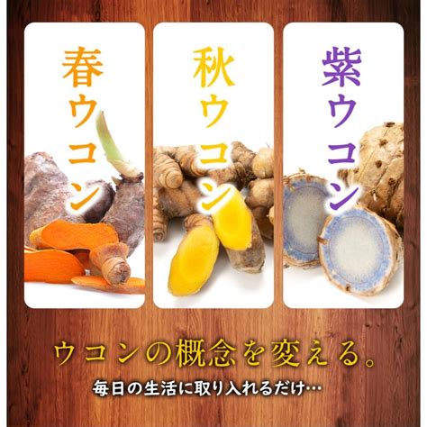 沖縄産ウコン使用 サプリメント 醗酵三種ウコン 300粒ヵ月分 【送料無料】春ウコン・秋ウコン・紫ウコン お酒 サプリ Ukon麗幸