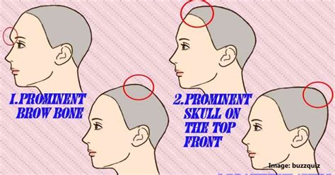 Your Head Shape Reveals About Your Personality Try It Yourself And See Neopress Your Head Shape Reveals About Your Personality Try It Yourself And See Neopress