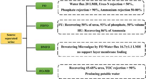 Classification Of Urine Treatment Based On Fo Technology Download