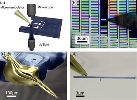Fabrication Of All Diamond Scanning Probes For Nanoscale Magnetometry