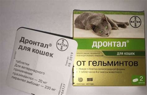 Дронтал для кошек инструкция по применению, цена, отзывы